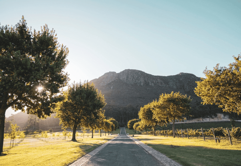 La Roche Estate - SA Weddings Venues